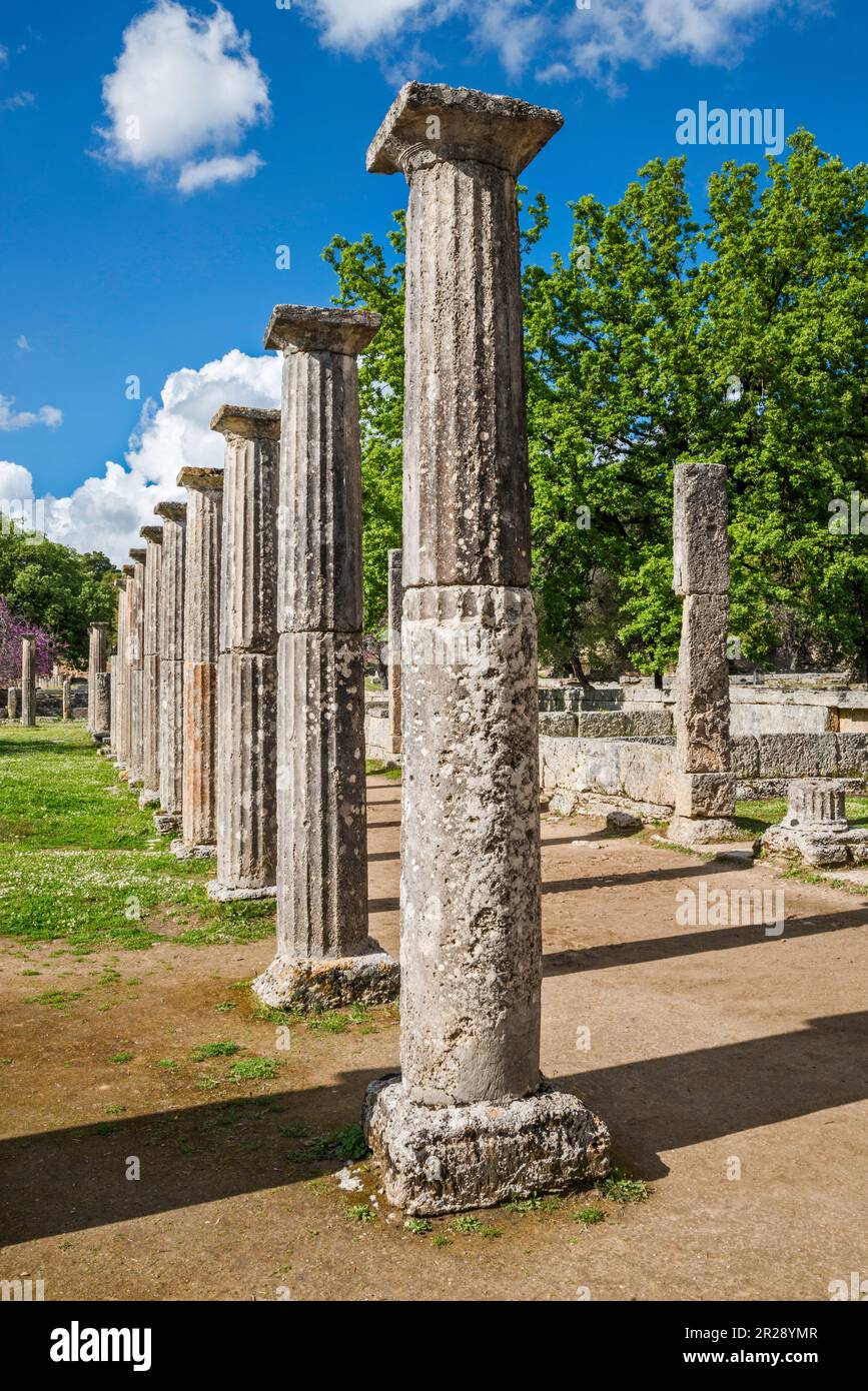 Columns at Palaestra wrestling school, Hellenistic period, sanctuary of ...