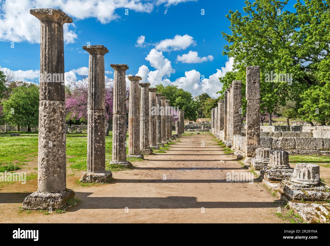 Columns at Palaestra wrestling school, Hellenistic period, sanctuary of ...