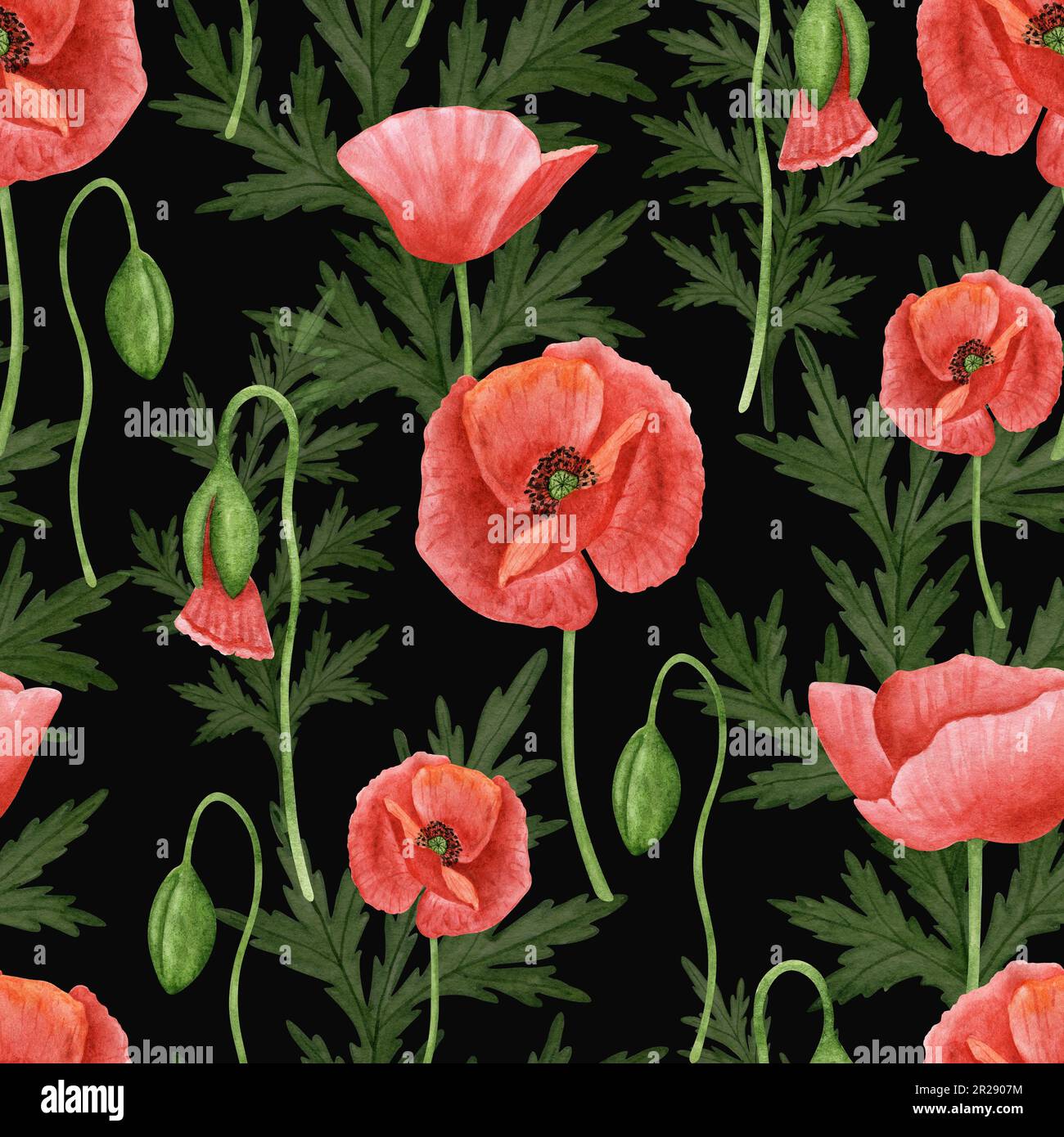 Poppy flower seamless pattern. Watercolor hand drawn poppy flowers ...