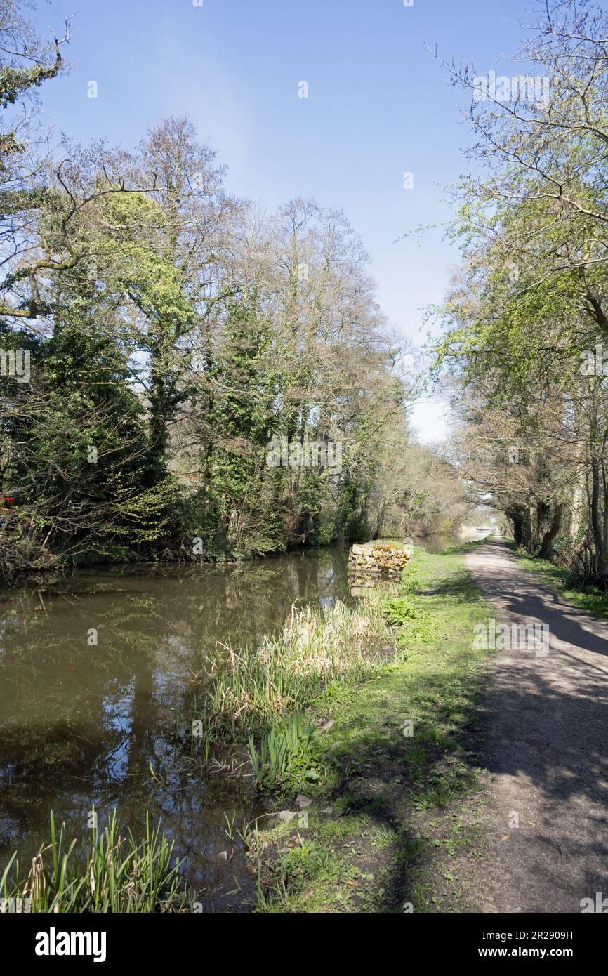 The Leeds and Liverpool Canal at Rufford Lancashire England Stock Photo ...