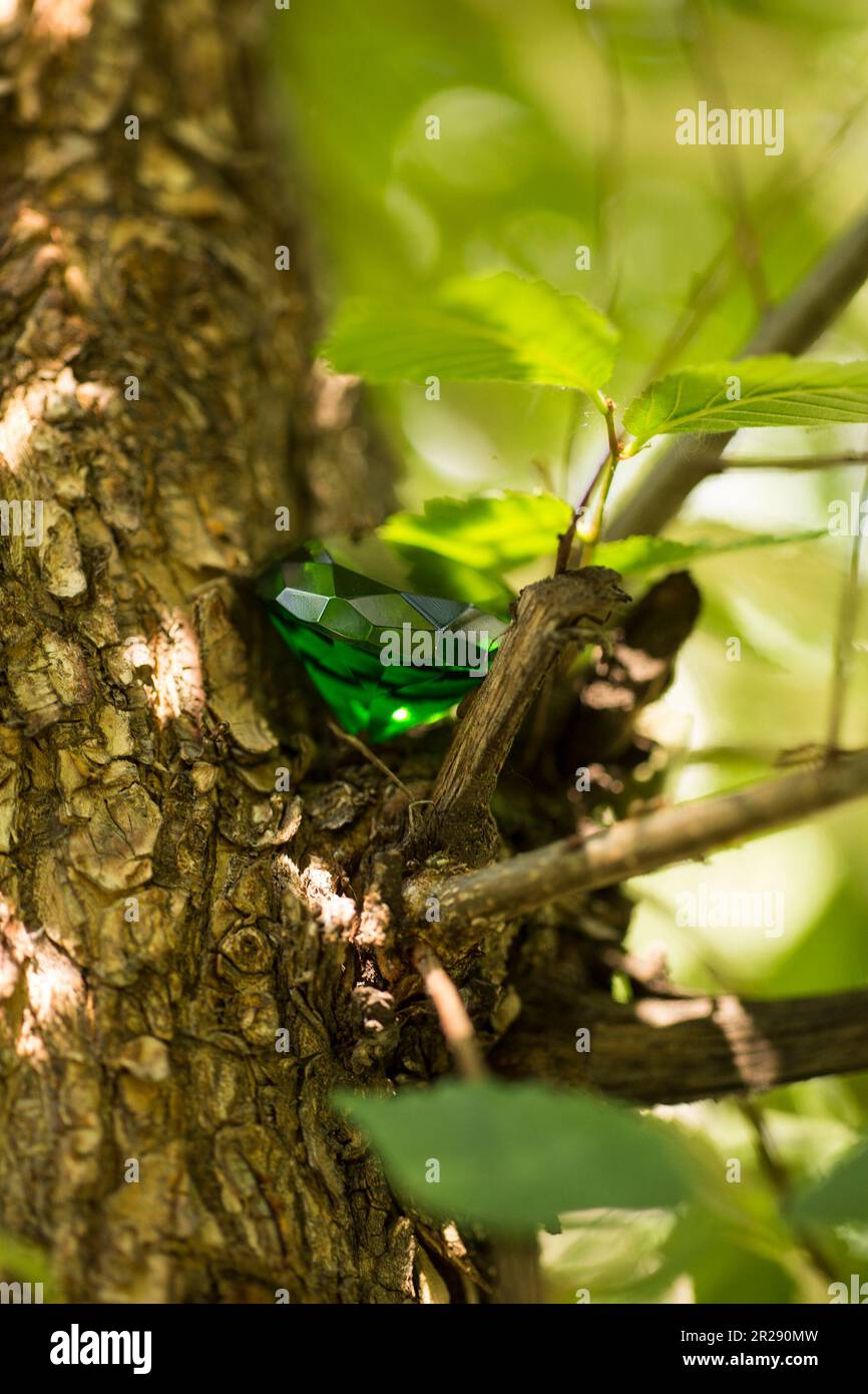 Glittering green magical crystal emerald in the forest, diamond Stock ...