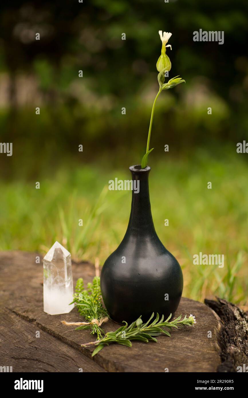 Wiccan witch altar with alchemy ingredients around, sack of medicinal ...