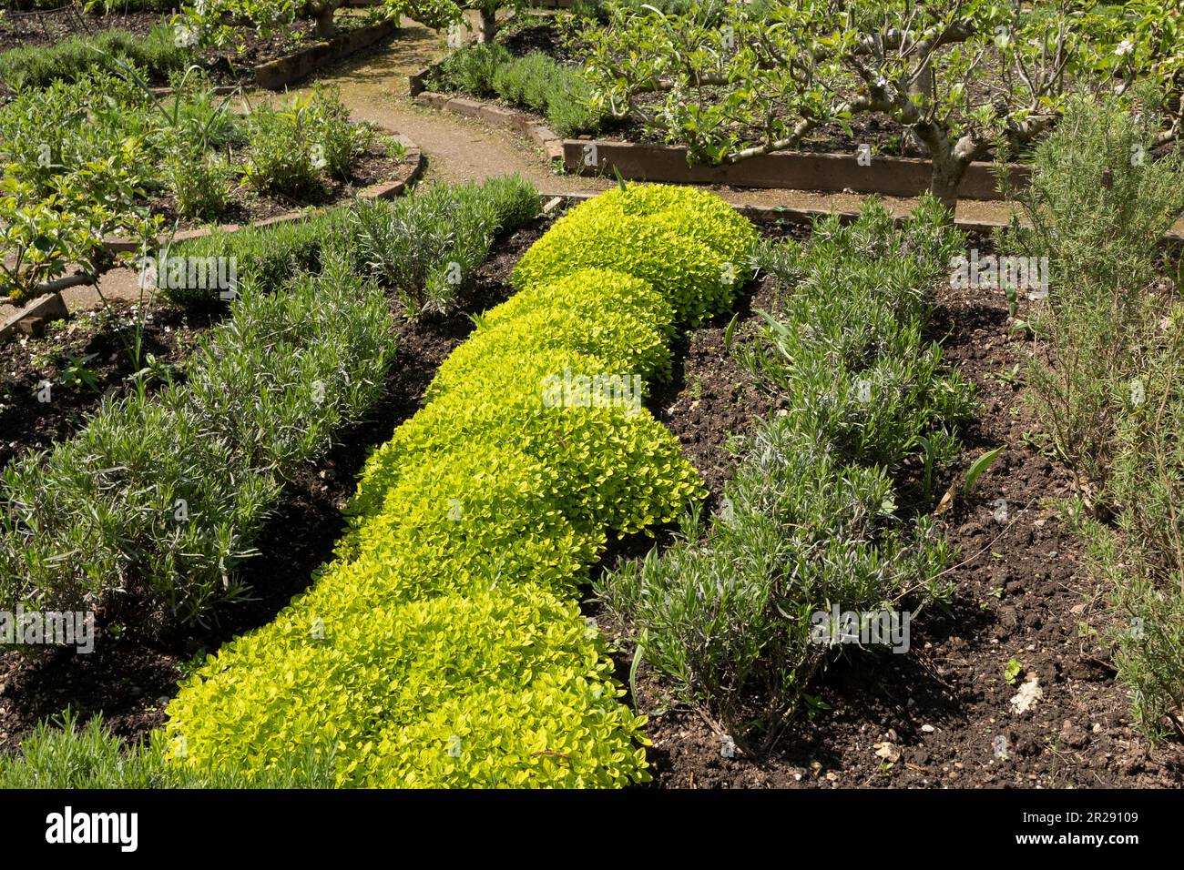 A well laid out Herb Garden on a bright summers day Stock Photo - Alamy