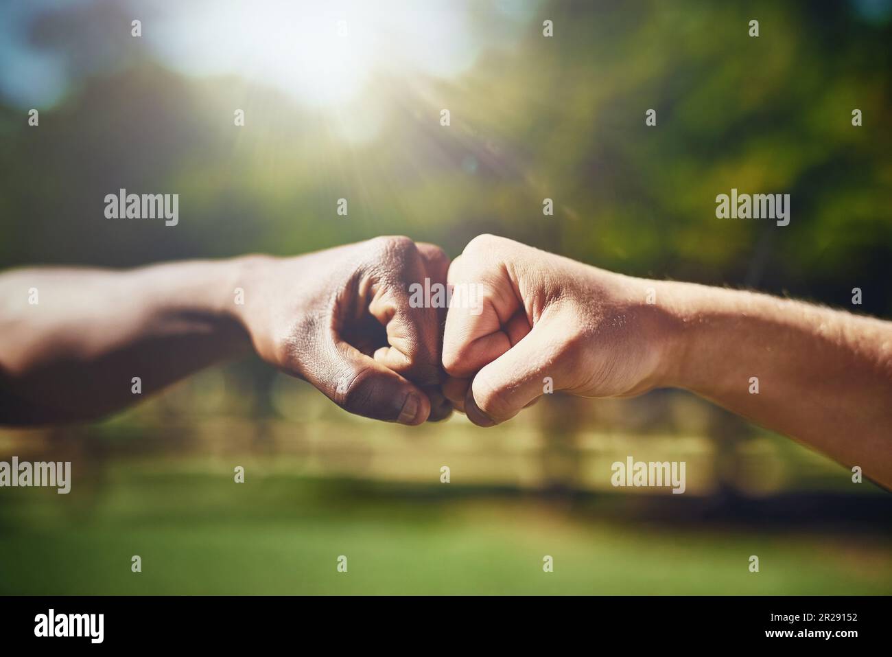Hands, fist bump and men in a park with support, solidarity and ...