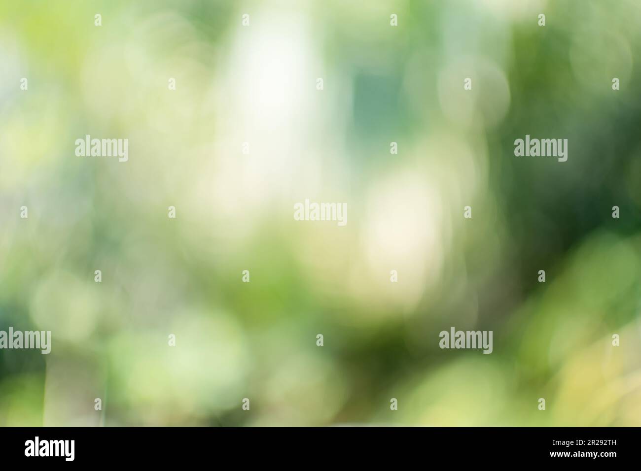 The concept for design blurred and defocused effect season. Abstract ...