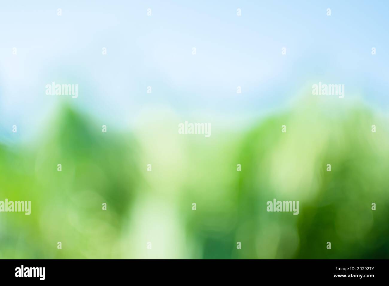 The concept for design blurred and defocused effect season. Abstract ...