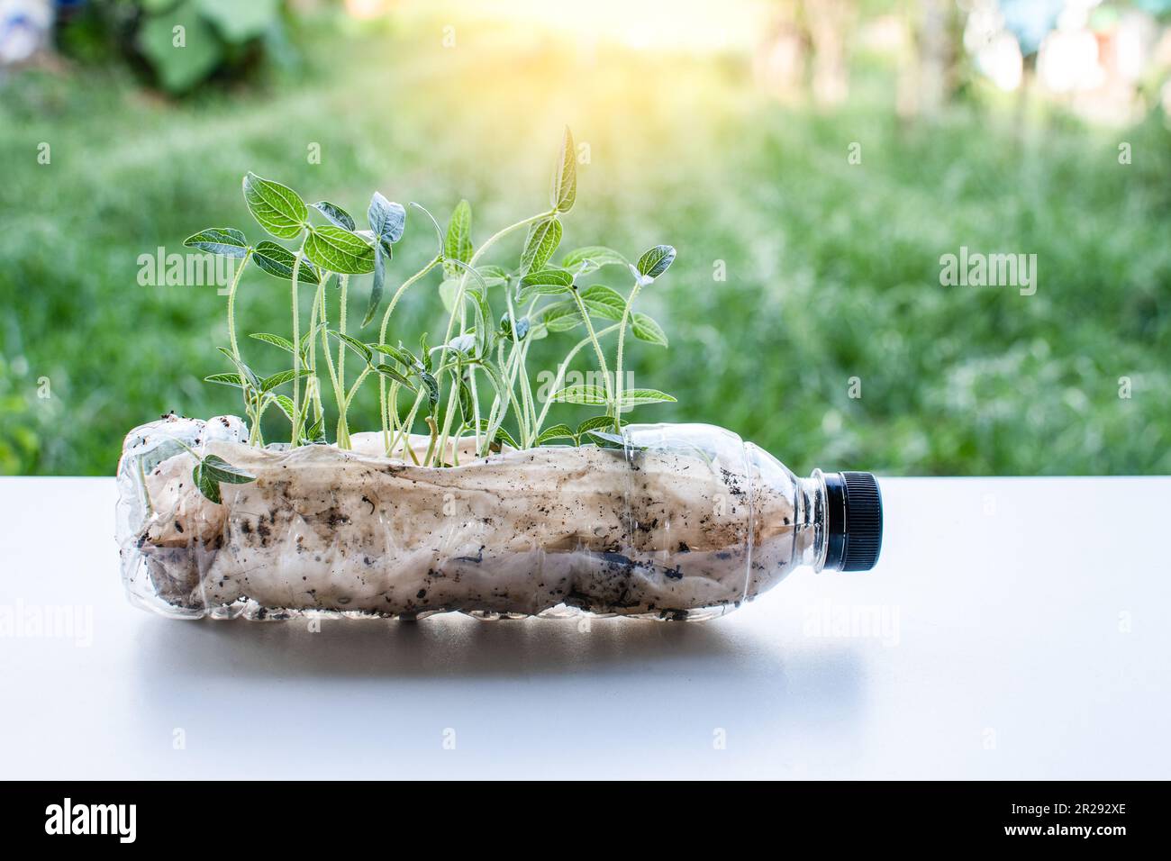 Hydroponics In A Bottle Pop 6 Plant Ebb & Flow (Flood And Drain)