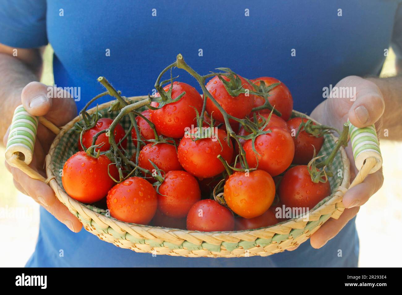 Fesh tomato hi-res stock photography and images - Alamy