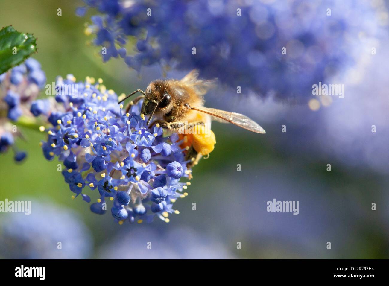 UK weather, London, 18 May 2023: Warm weather and sunshine brings a ...
