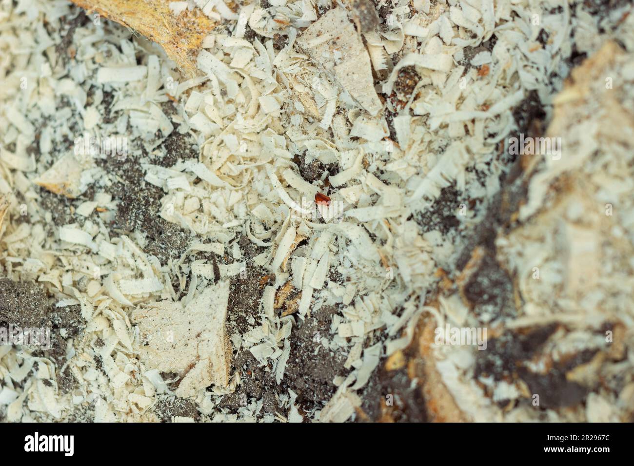 Texture of the land with humus, sand and sawdust. Alternative fuel ...