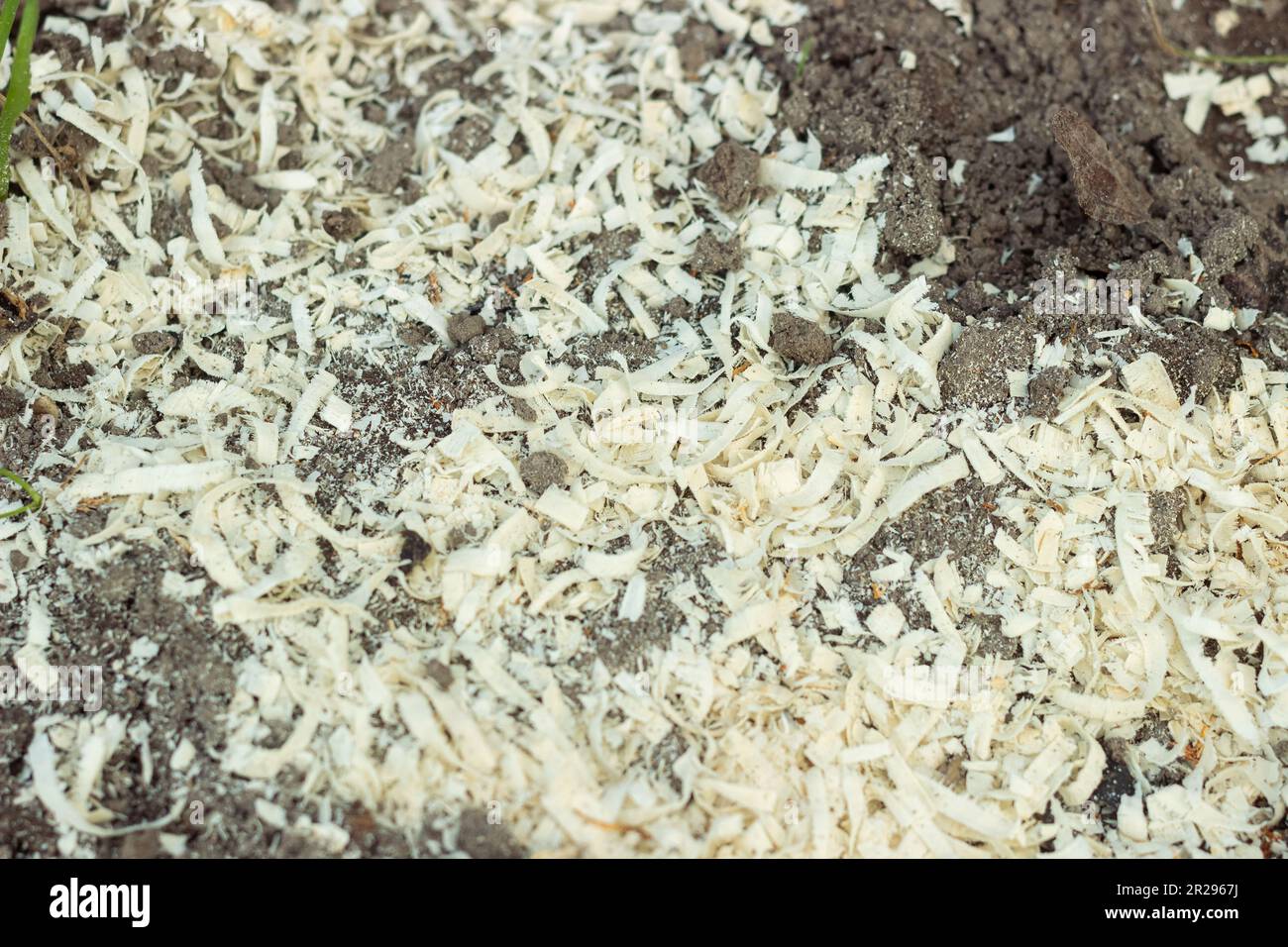 Texture of the land with humus, sand and sawdust. Alternative fuel ...