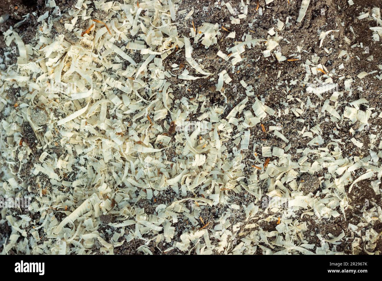 Texture of the land with humus, sand and sawdust. Alternative fuel ...