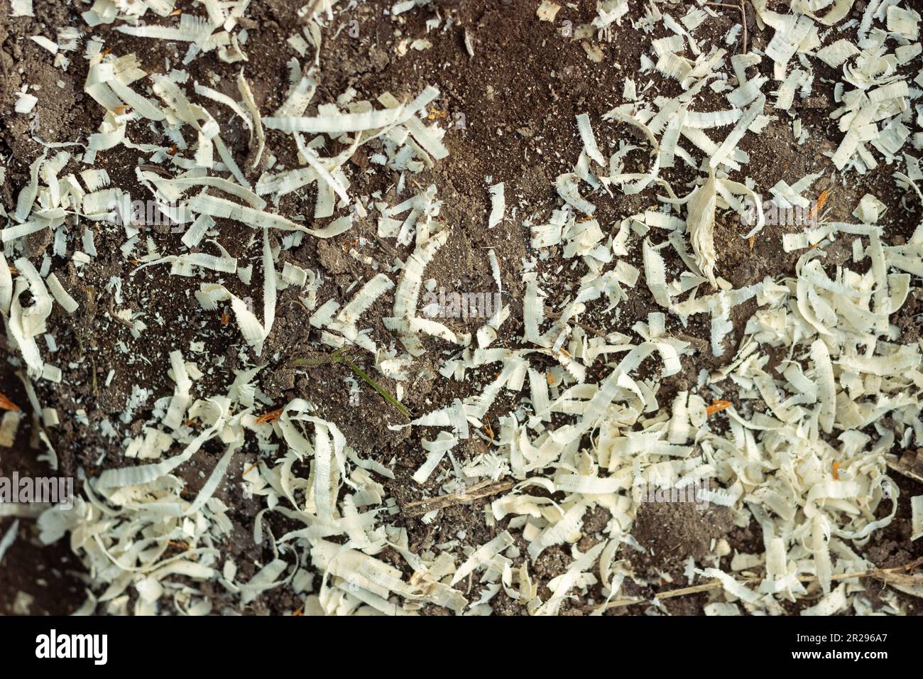 Texture of the land with humus, sand and sawdust. Alternative fuel ...