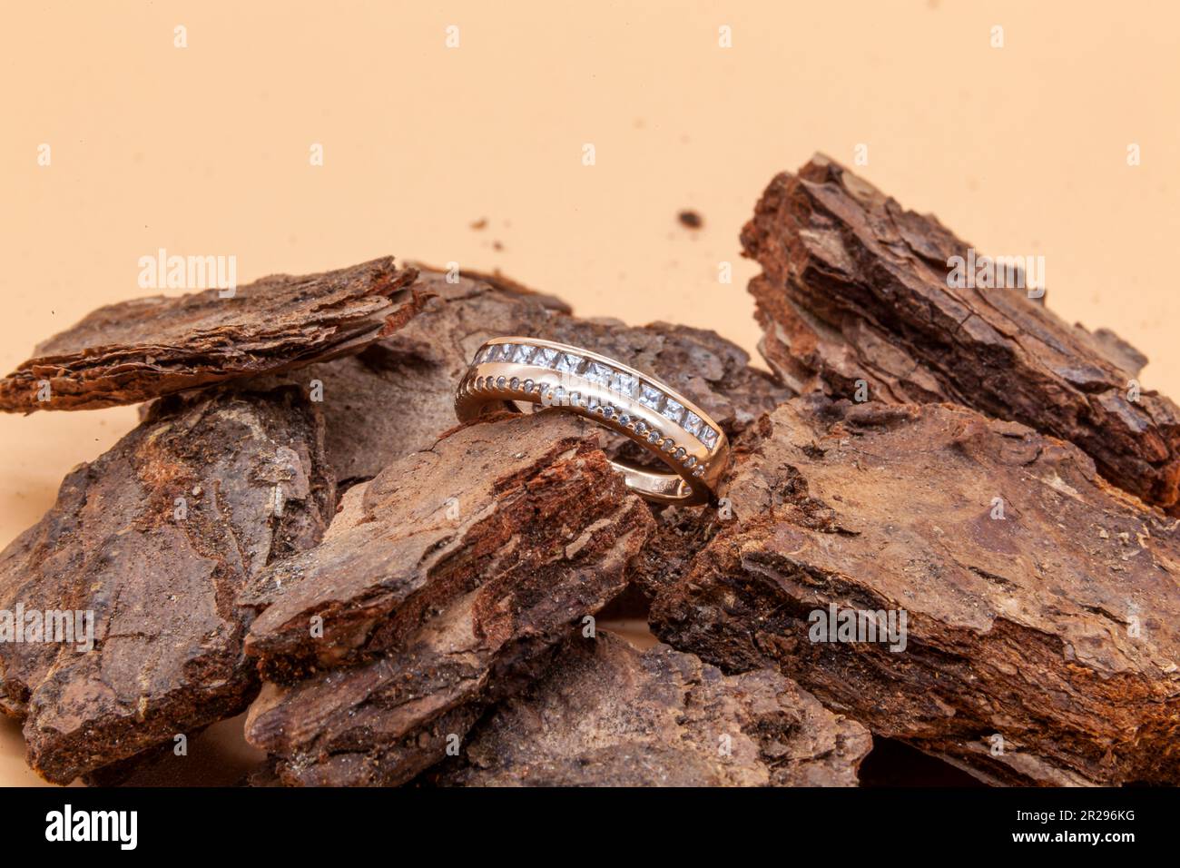 A woman's gold wedding ring on the wooden bark of a pine tree ...