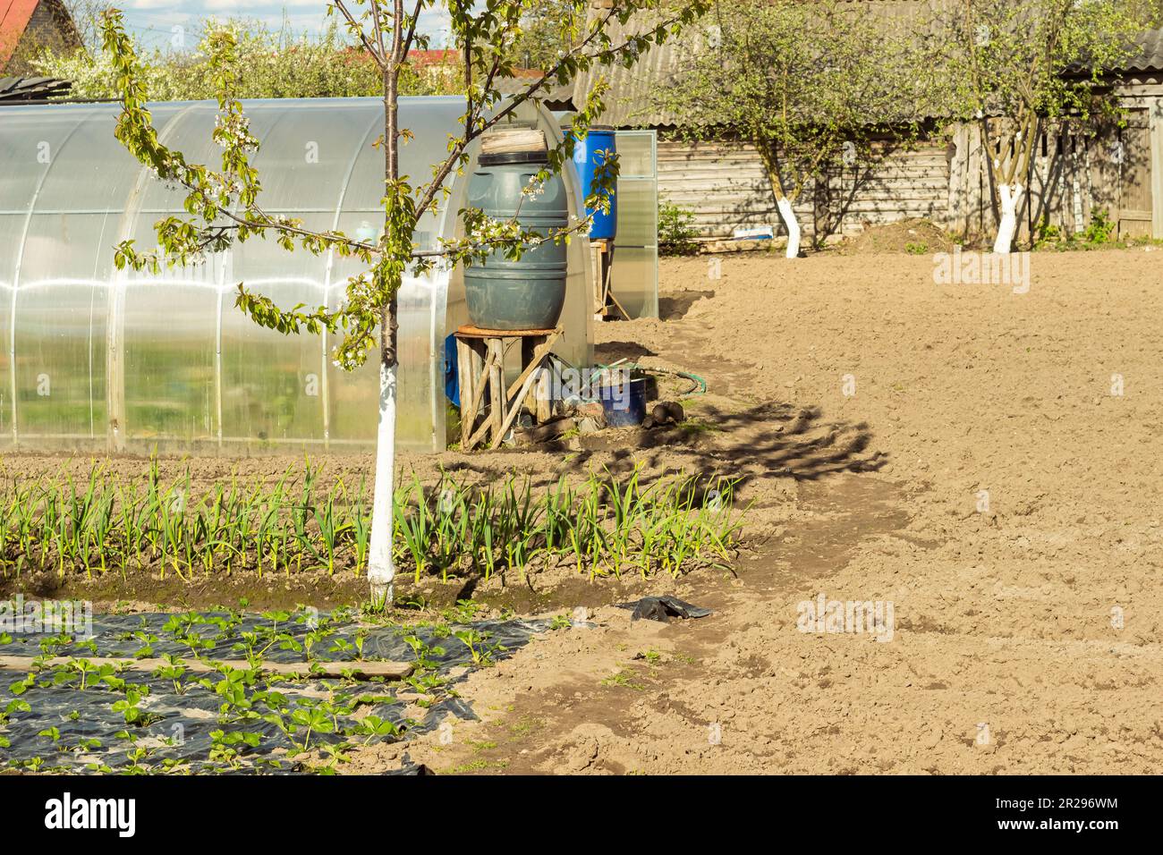 Beautiful vegetable garden with greenhouses potato beds and black soil ...