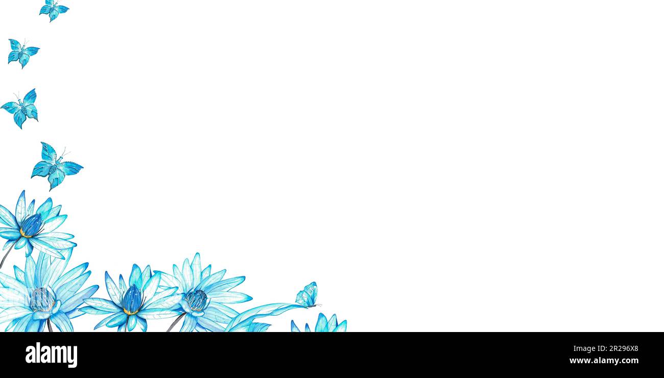 a set of watercolor illustrations. blue butterflies, lotus flowers ...
