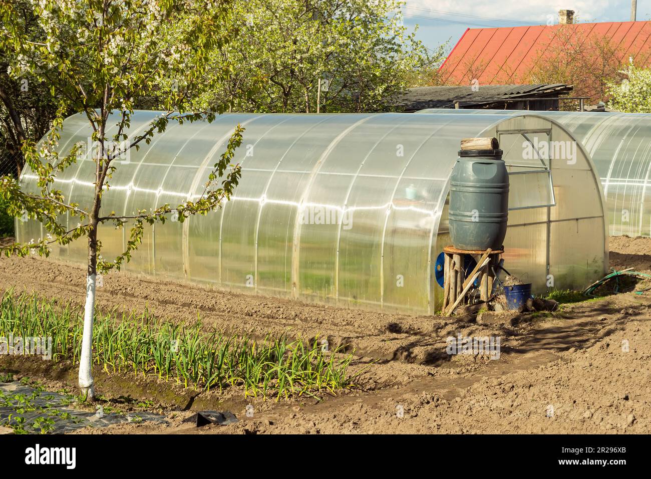 Beautiful vegetable garden with greenhouses potato beds and black soil ...