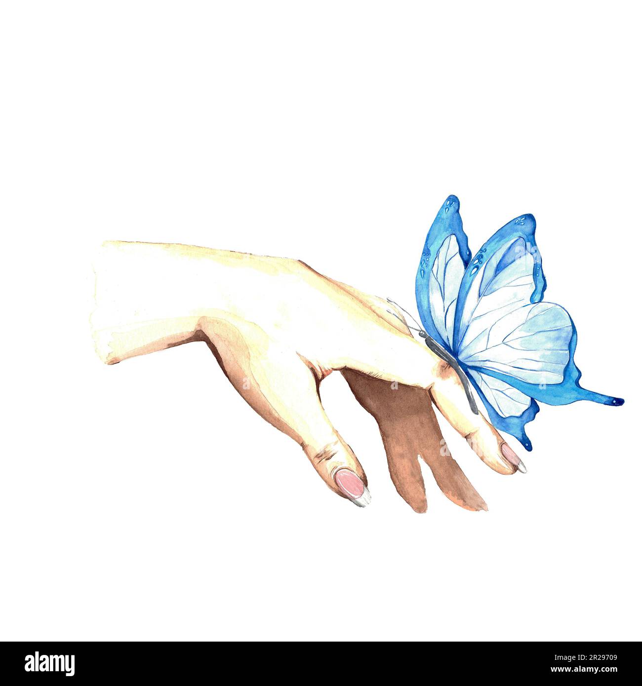 a set of watercolor illustrations. blue butterflies, lotus flowers ...