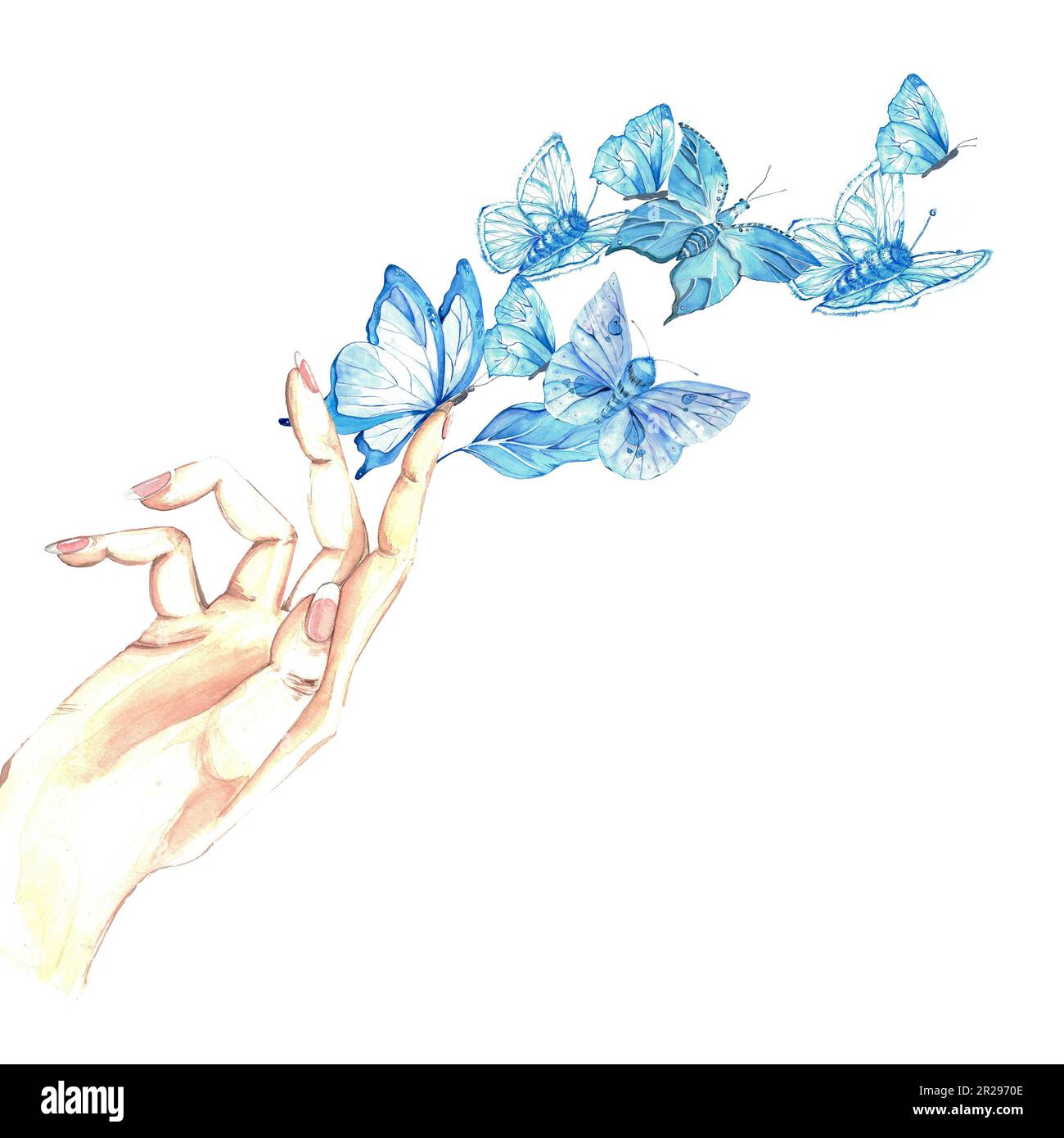 a set of watercolor illustrations. blue butterflies, lotus flowers ...
