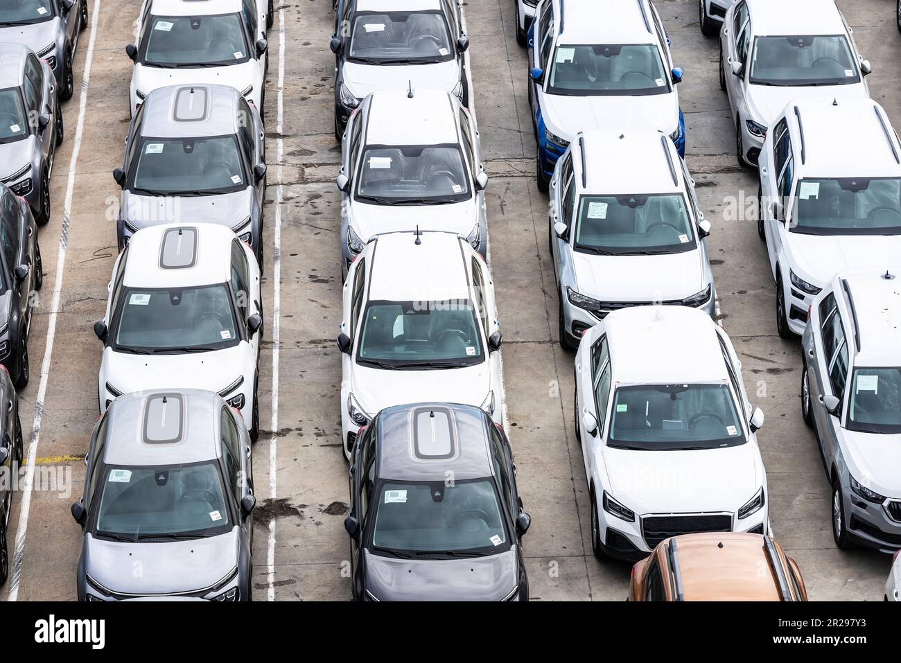 New cars parked in a row waiting to be shipped at the loading dock of ...