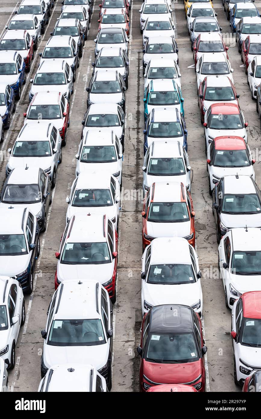 New cars parked in a row waiting to be shipped at the loading dock of ...