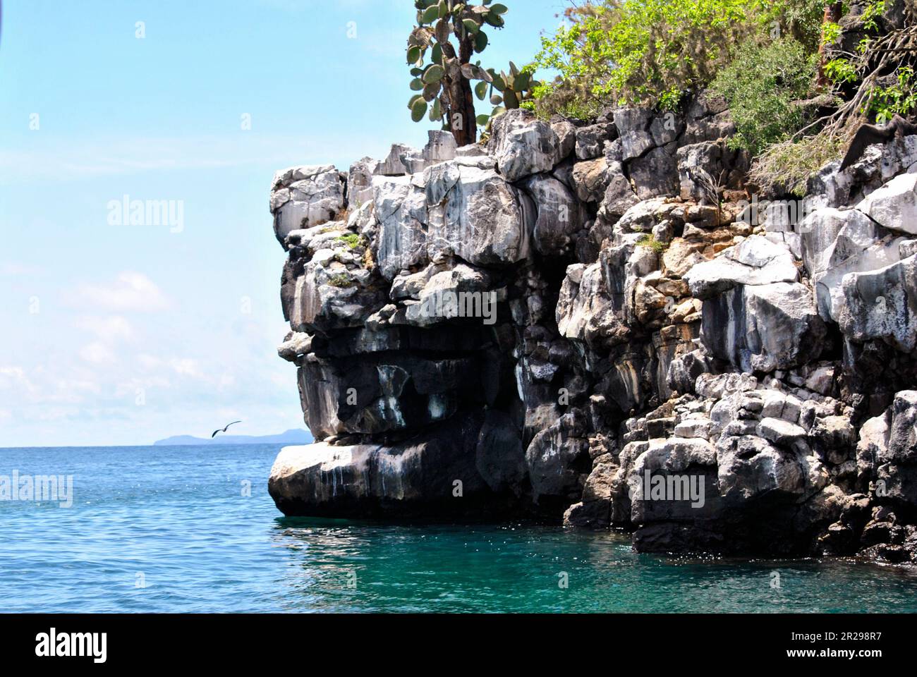 Punta Estrada Beach in Santa Cruz island. Galapagos islands, Ecuador ...