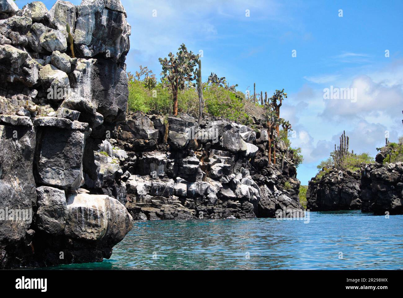 A view of Punta Estrada Beach in Santa Cruz island. Galapagos islands ...
