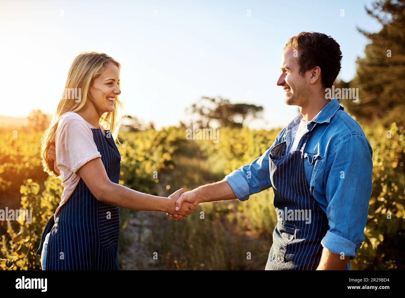 Farmer meeting, handshake and partnership for sustainability deal in ...