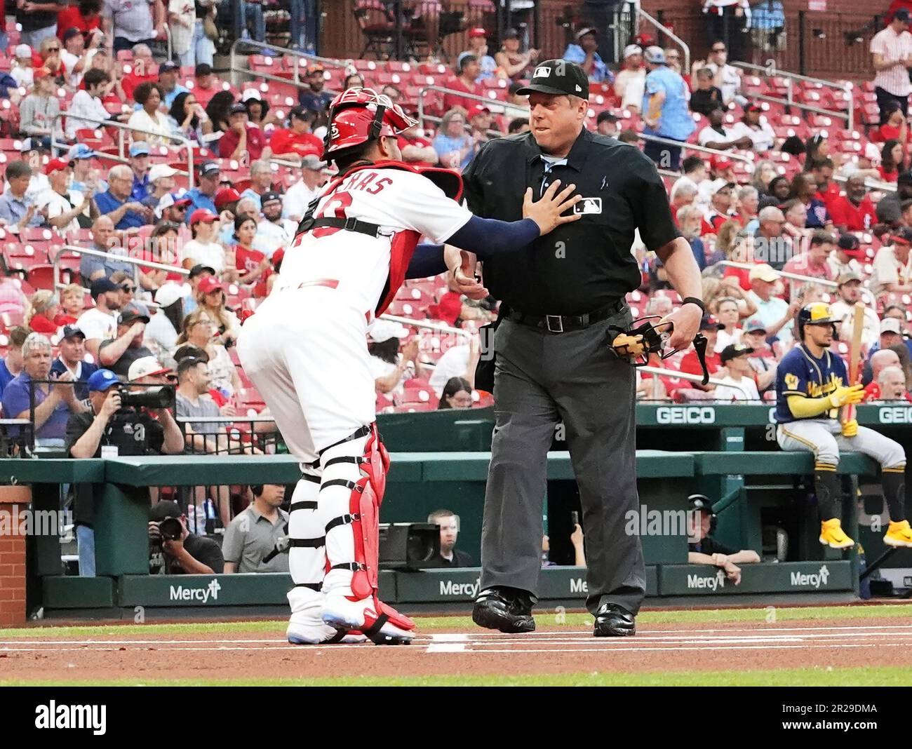 St. Louis, United States. 17th May, 2023. St. Louis Cardinals Willson ...