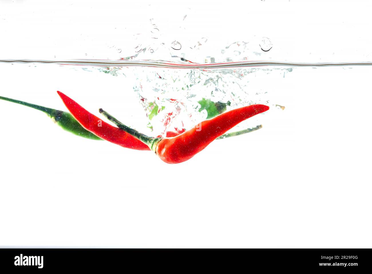 Red chilli, water splashes, solated on a white background Stock Photo ...