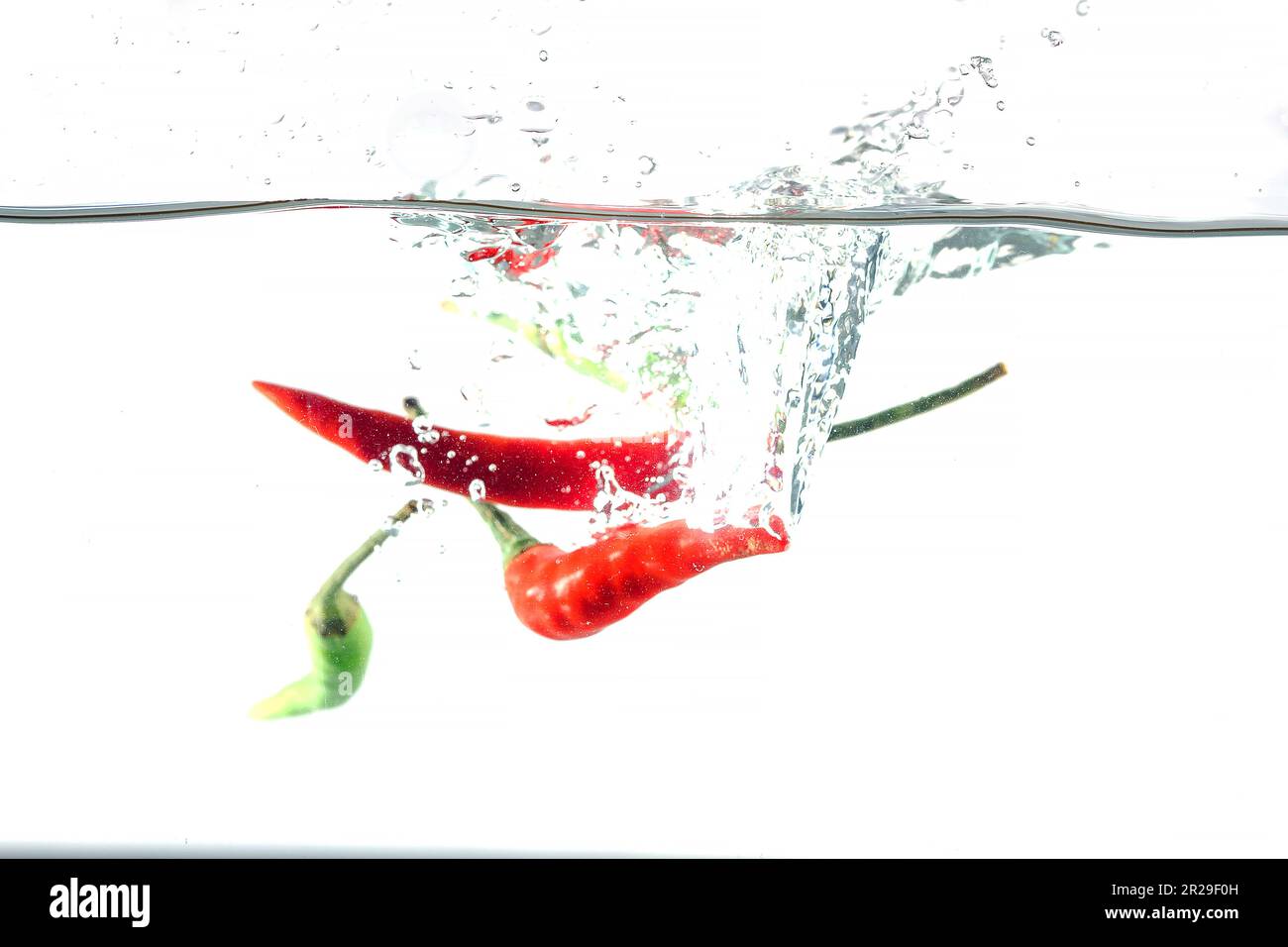 Red chilli, water splashes, solated on a white background Stock Photo ...