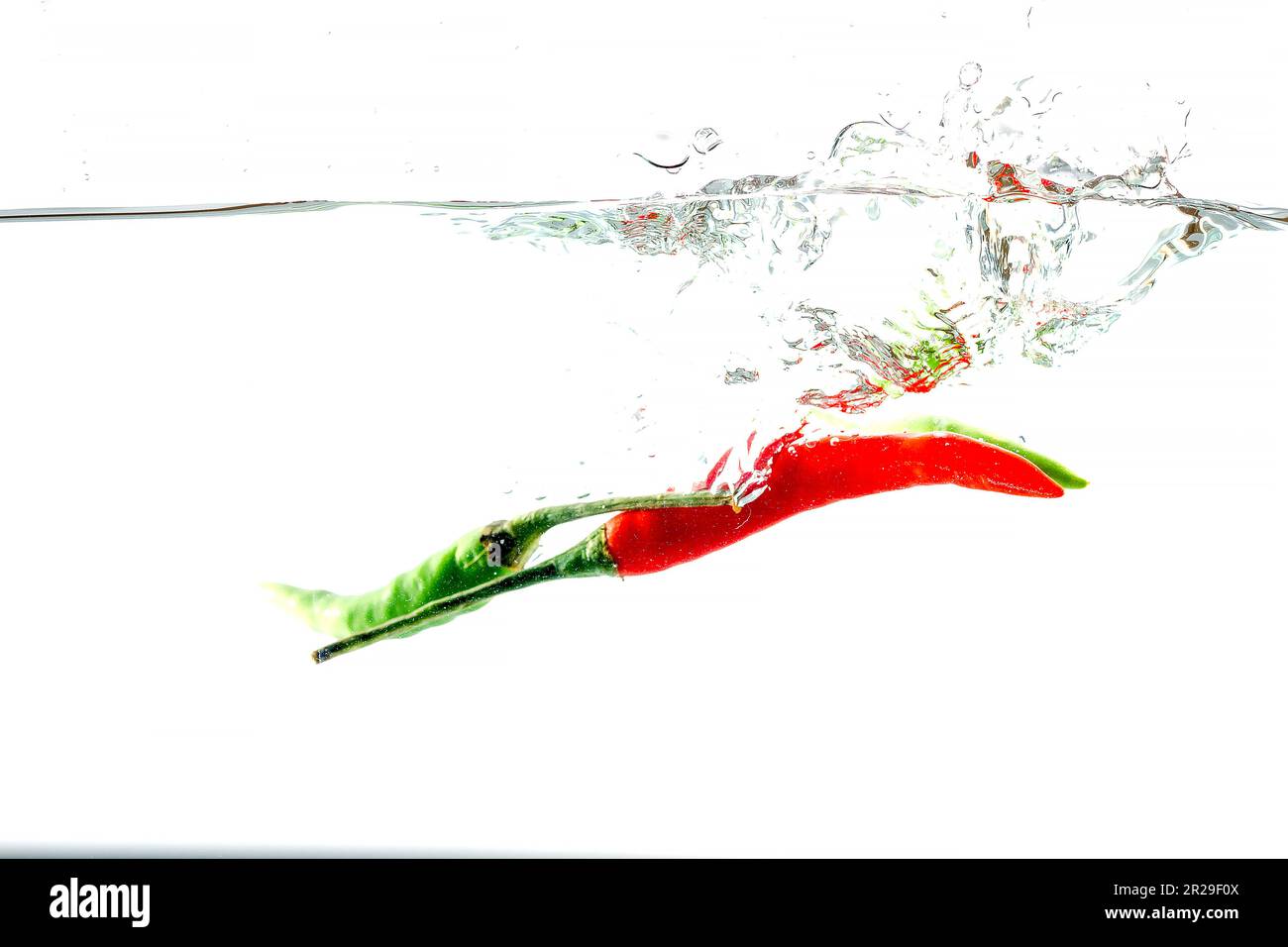 Red chilli, water splashes, solated on a white background Stock Photo ...