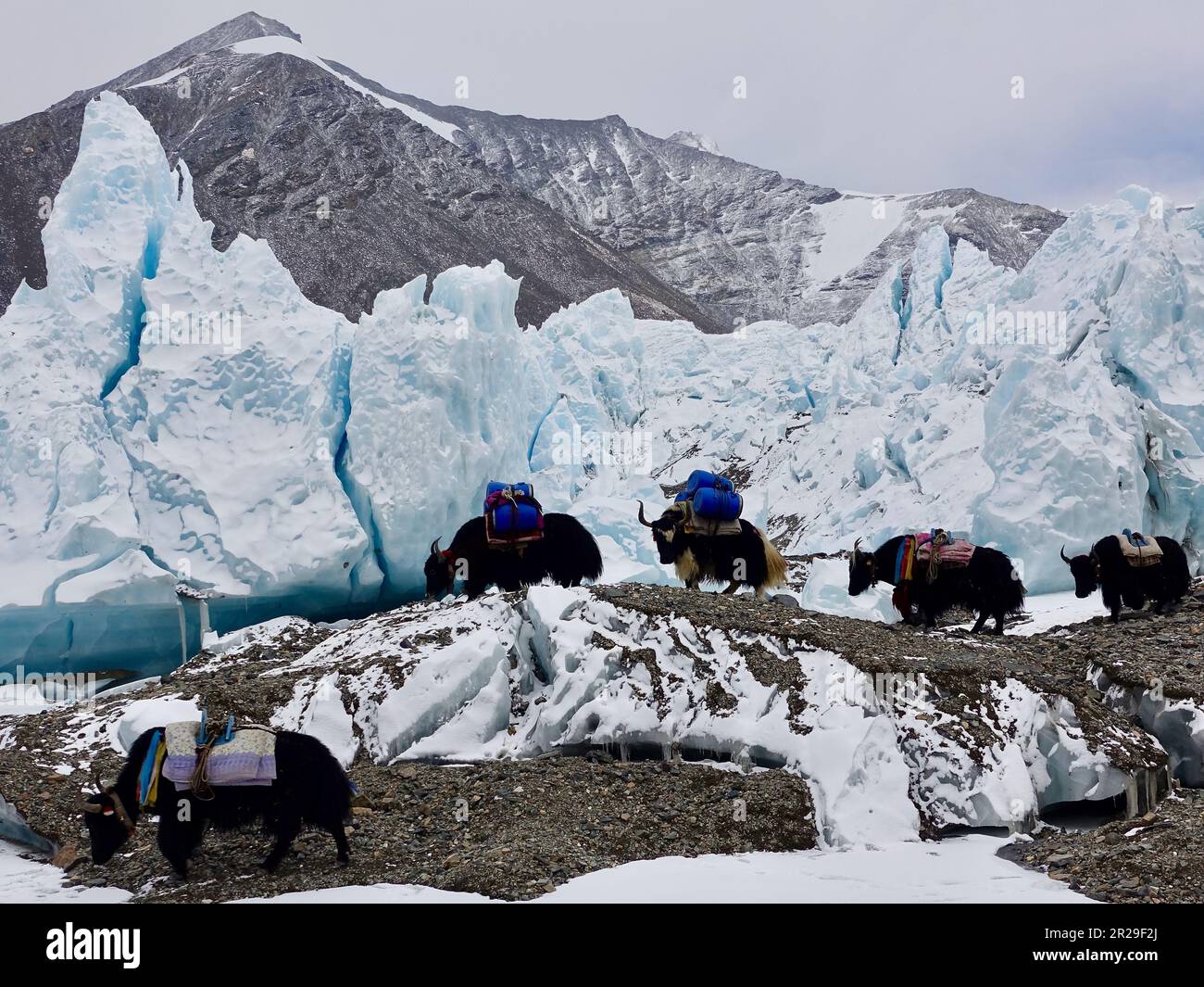 Advanced base camp everest hi-res stock photography and images - Alamy
