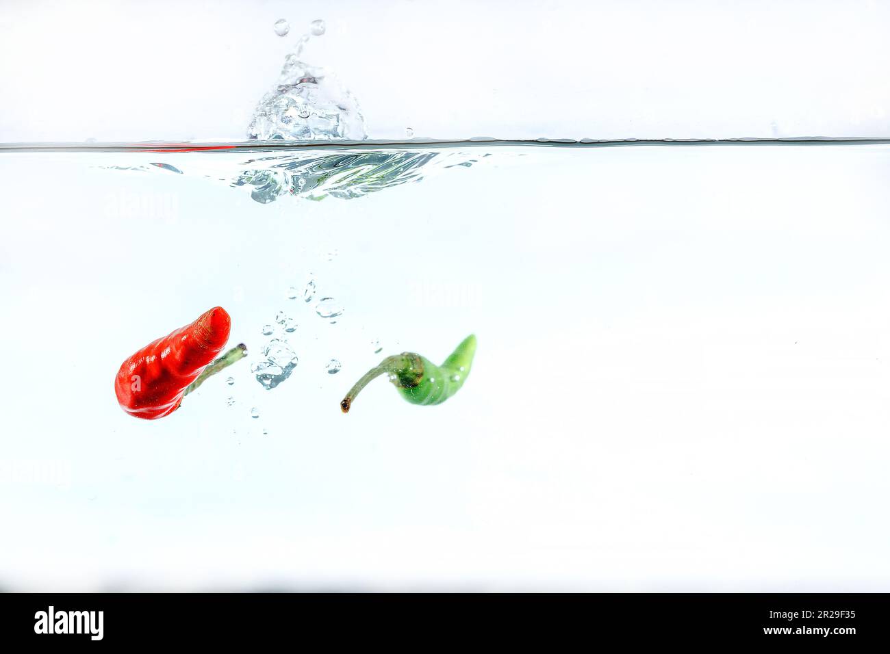 Red chilli, water splashes, solated on a white background Stock Photo ...