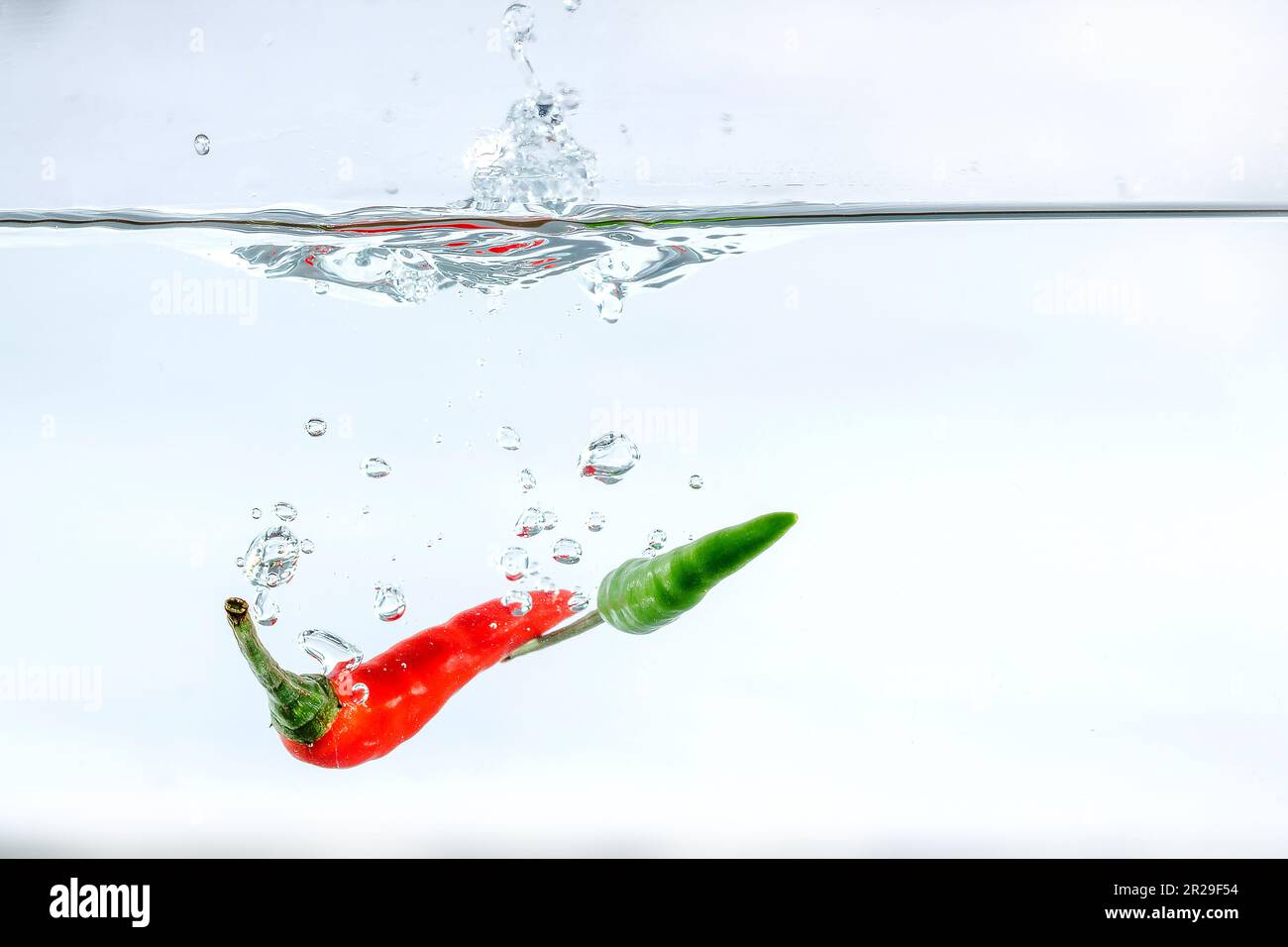 Red chilli, water splashes, solated on a white background Stock Photo ...