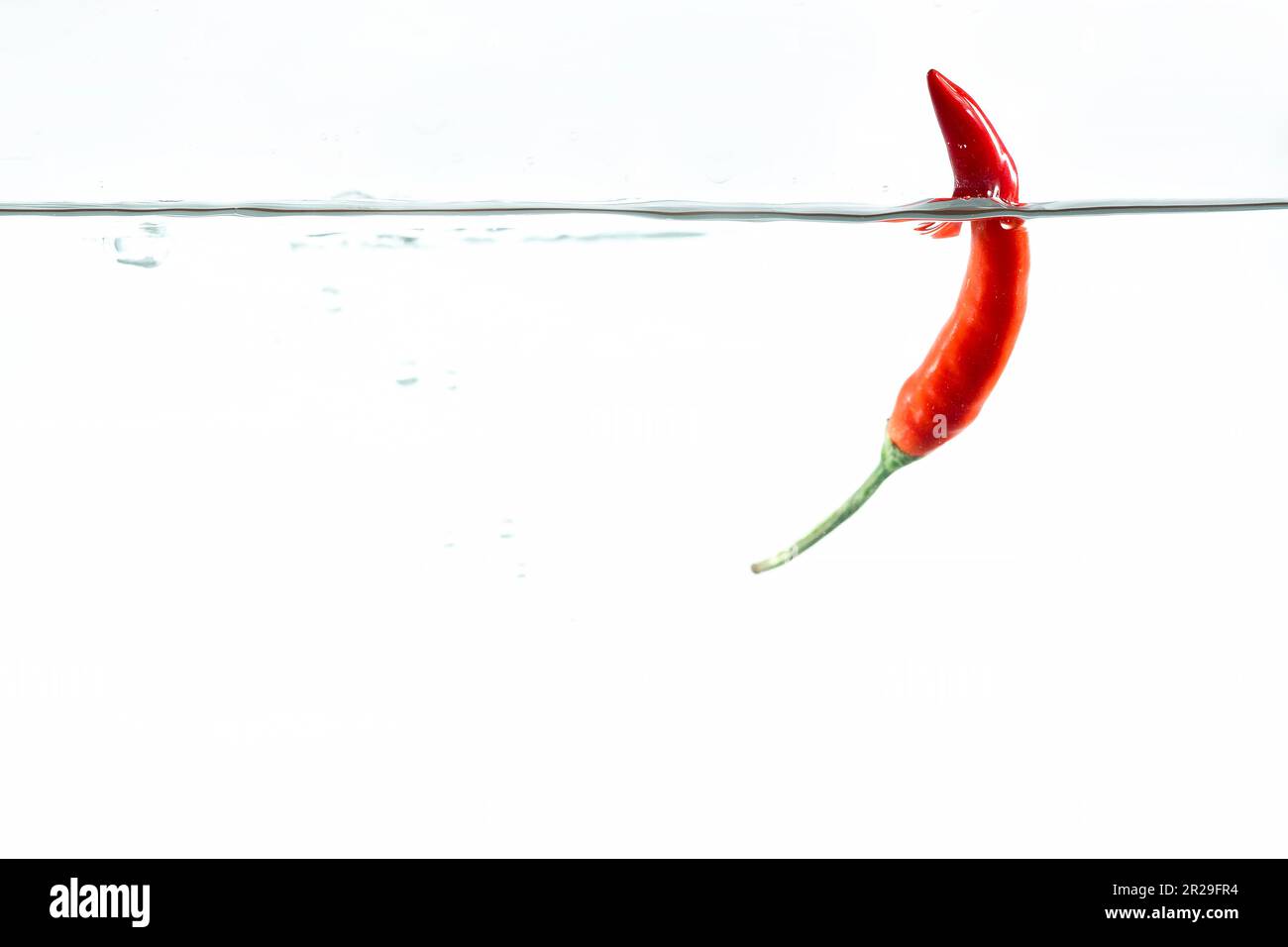 Red chilli, water splashes, solated on a white background Stock Photo ...