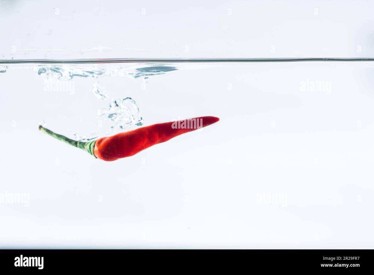 Red chilli, water splashes, solated on a white background Stock Photo ...