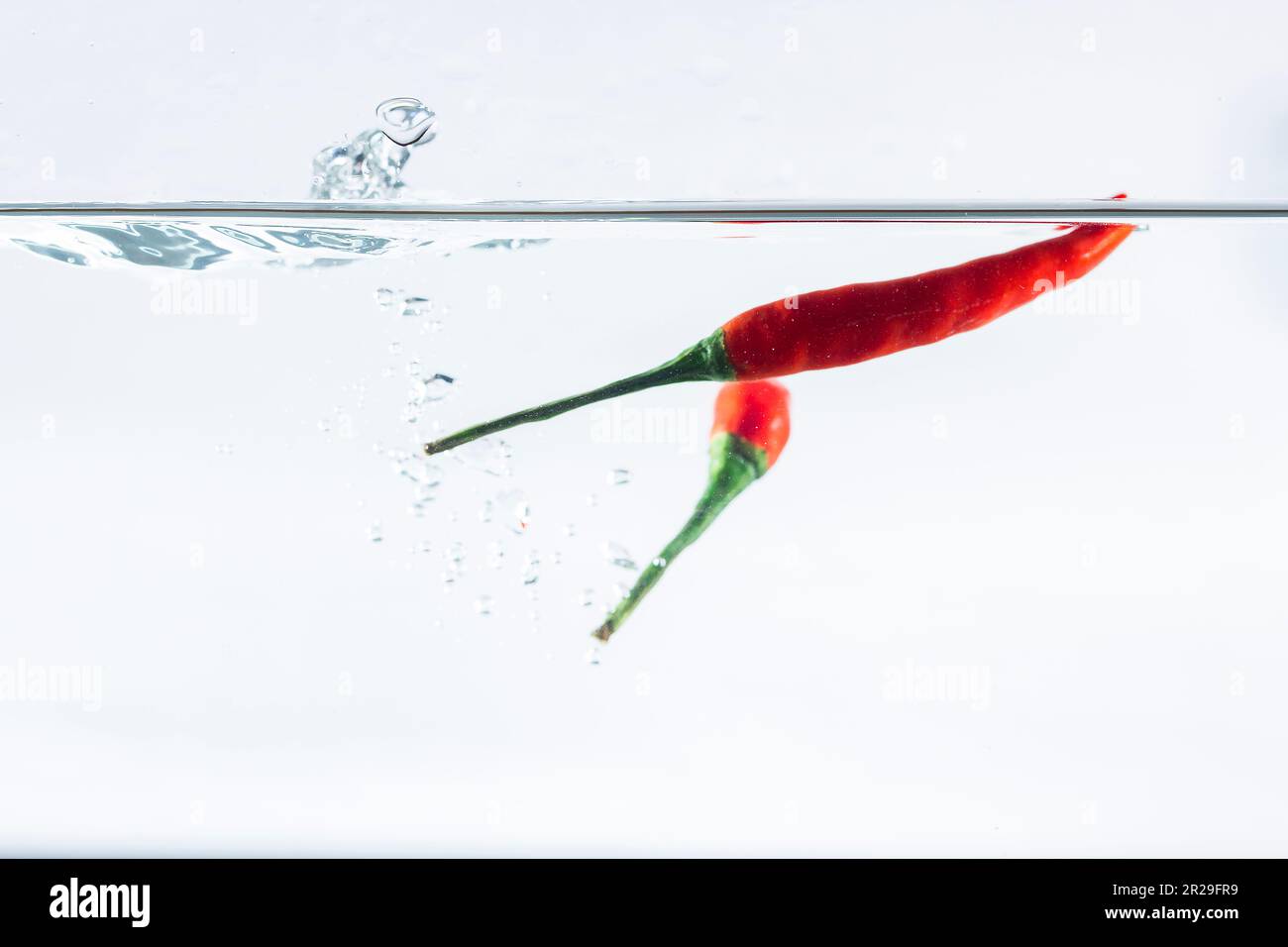 Red chilli, water splashes, solated on a white background Stock Photo ...