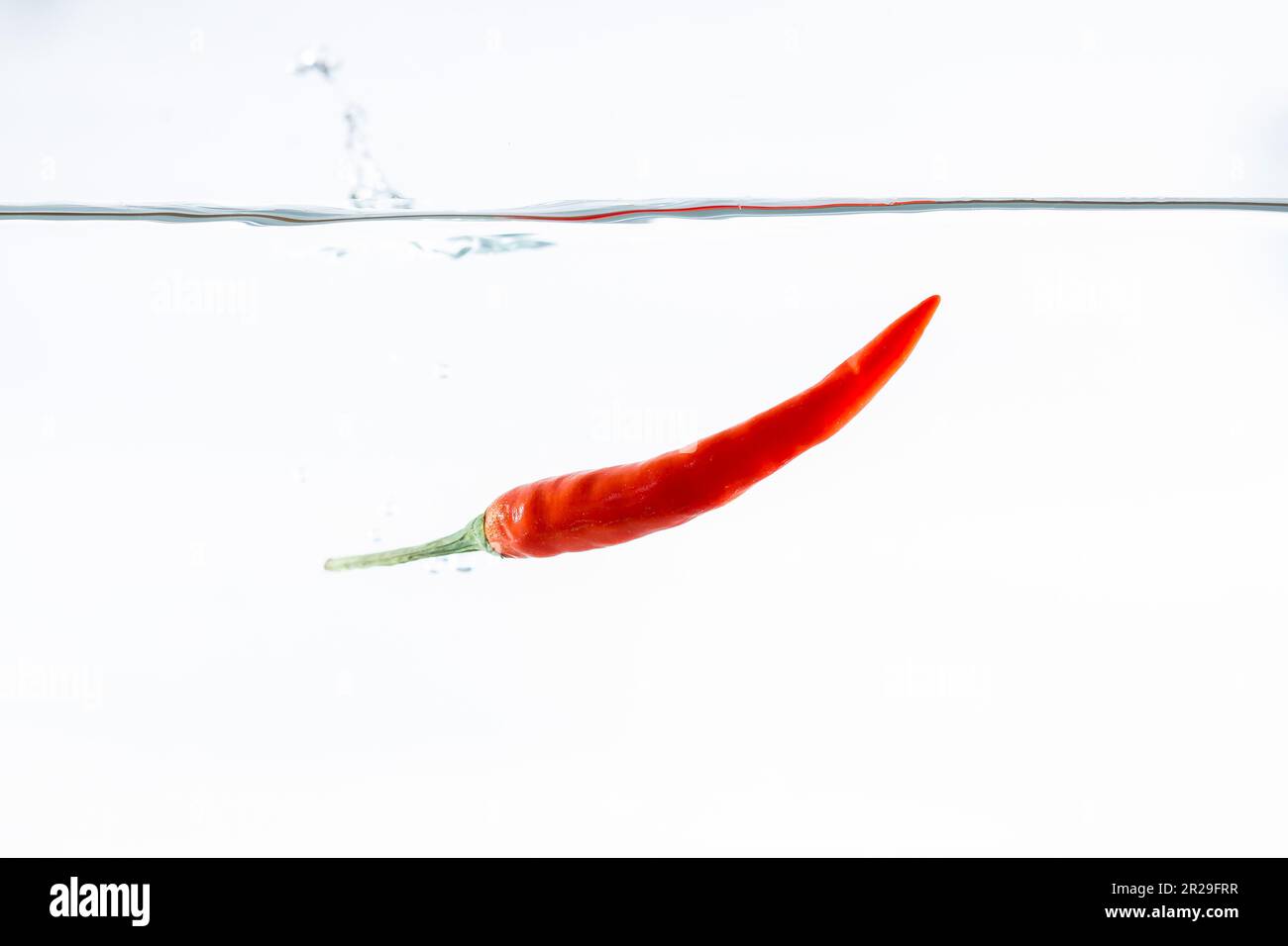 Red chilli, water splashes, solated on a white background Stock Photo ...