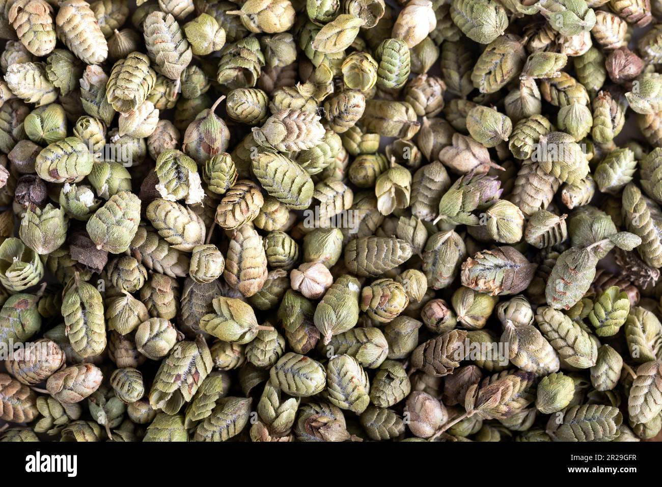 Natural thyme spice (Thymus vulgaris) on white background. Top view Stock Photo - Alamy
