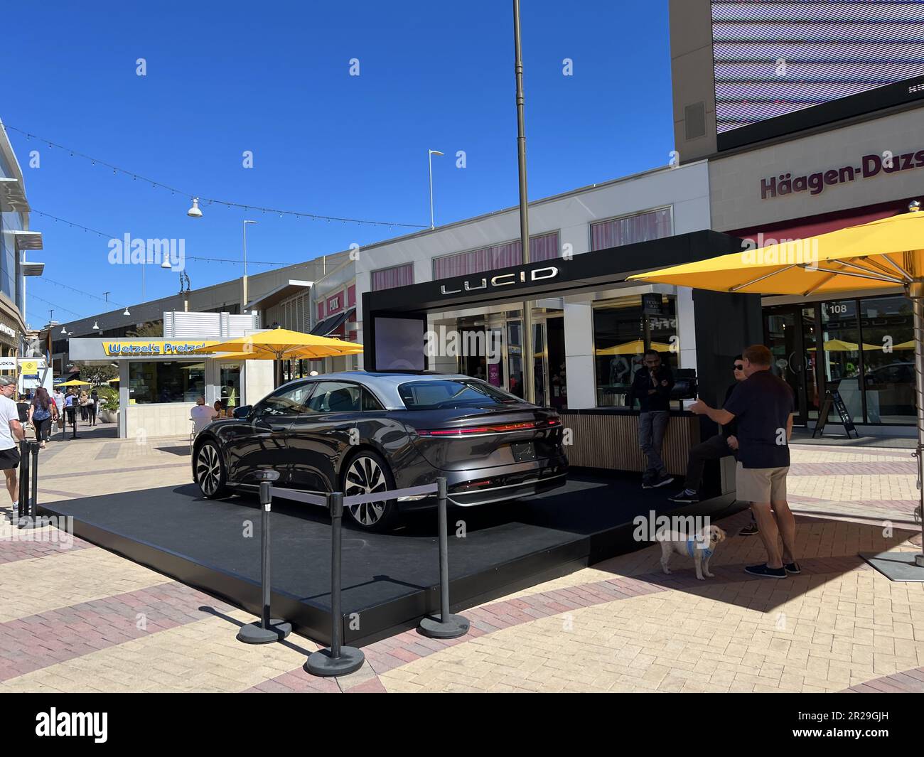 Display for Lucid Motors electric vehicles in Walnut Creek, California ...