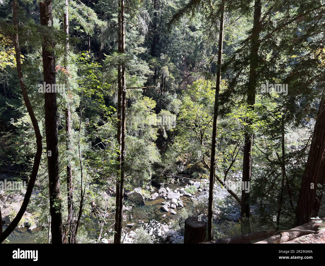 High-angle view, on a sunny day, looking down toward the rocky San ...