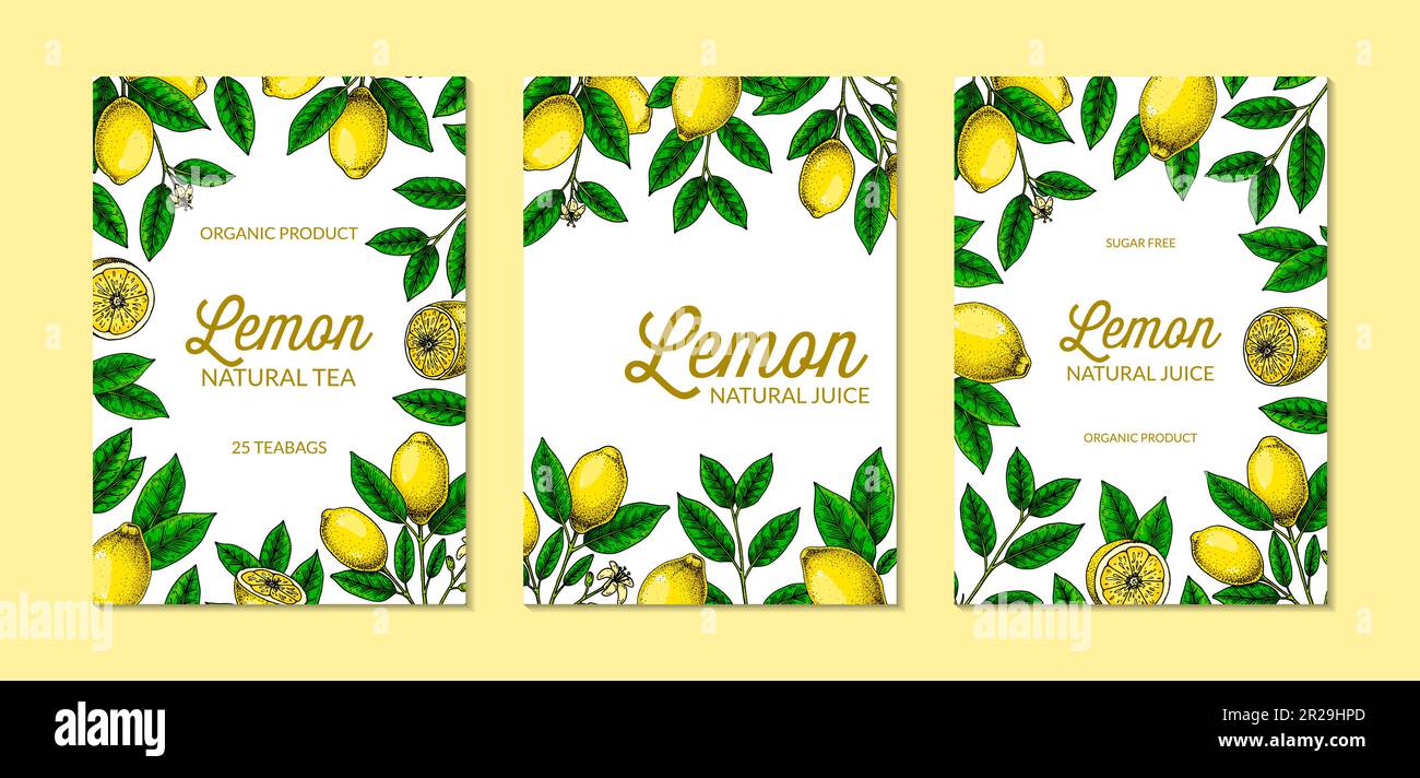 Vertical lemon background. Hand drawn colorful vector illustration in ...