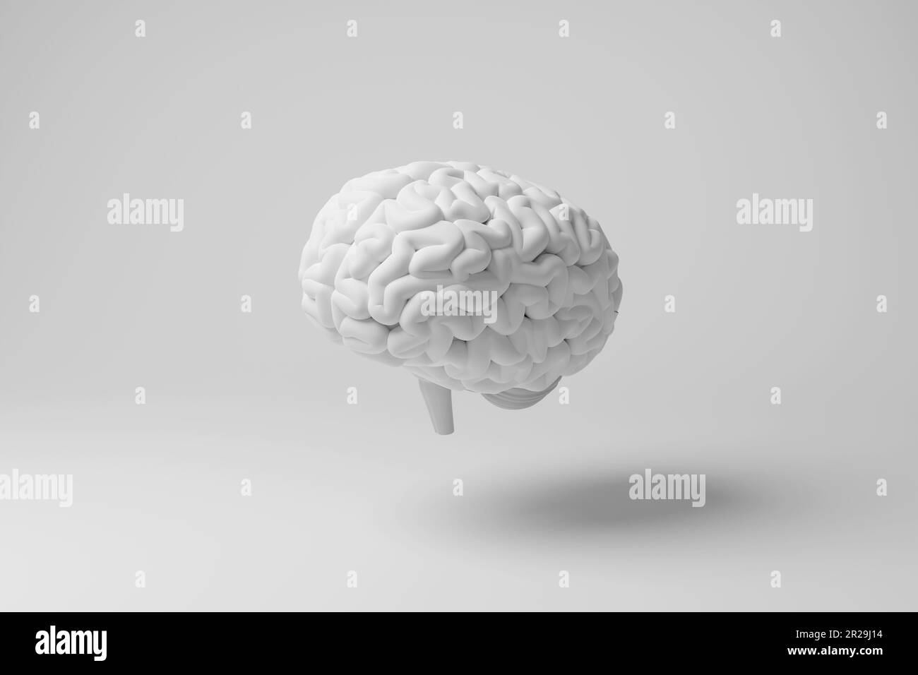 White brain floating in mid air with shadow on white background ...