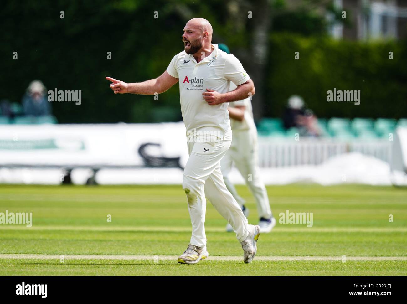 Joe leach cricket 2023 hi-res stock photography and images - Alamy