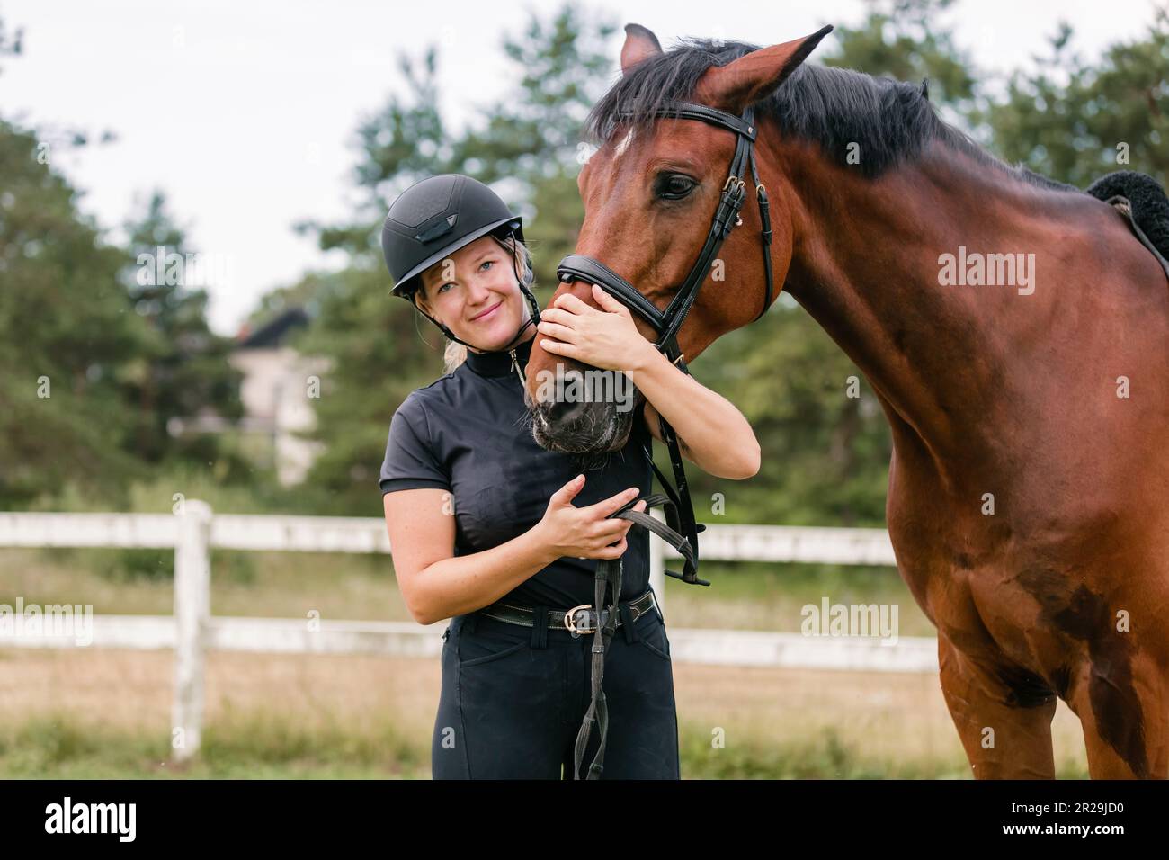 Female rider hand gently caressing beautiful thick red horse mane ...