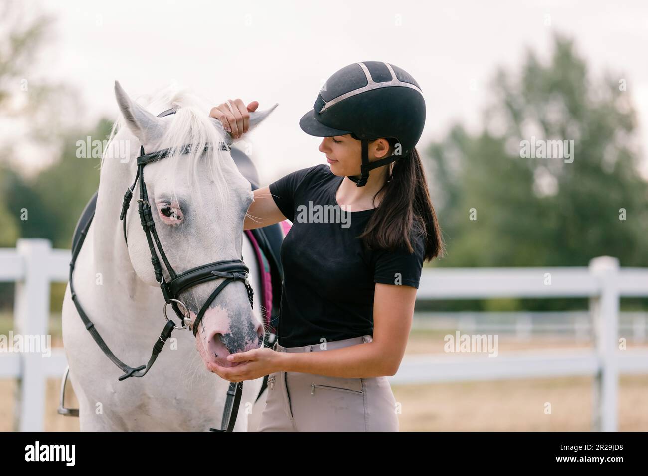 Female rider hand gently caressing beautiful thick red horse mane ...