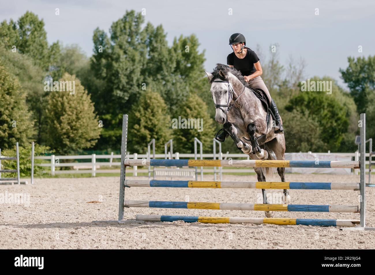 Girl on a dapple gray horse practicing jumping over a log fence in the ...
