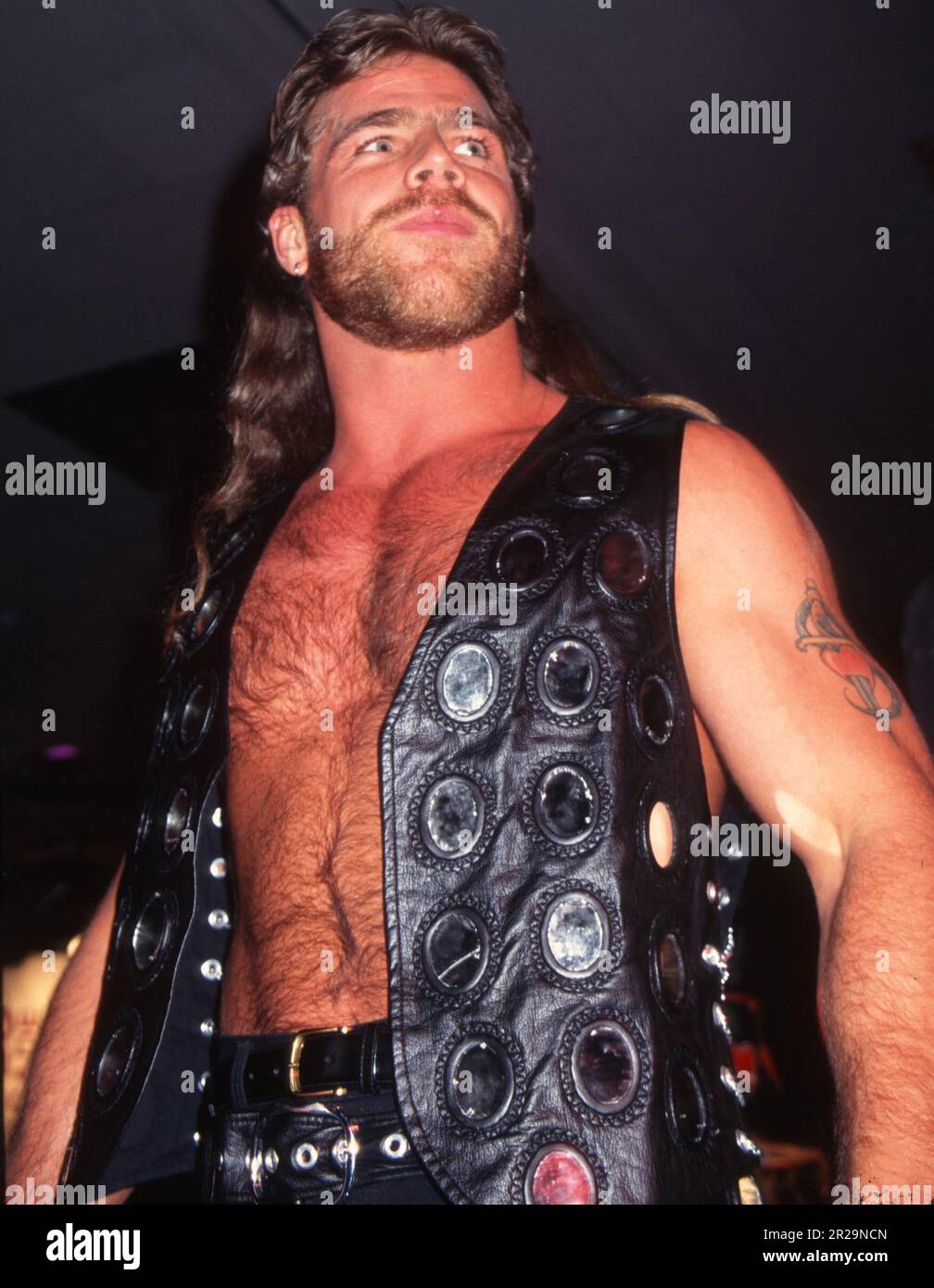 Shawn michaels wrestling hi-res stock photography and images - Alamy