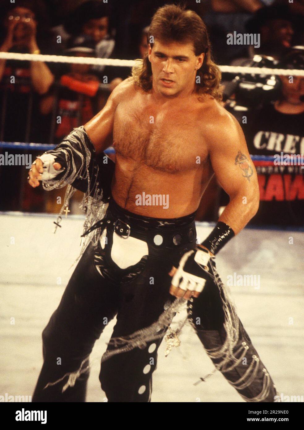 Shawn michaels wrestling hi-res stock photography and images - Alamy